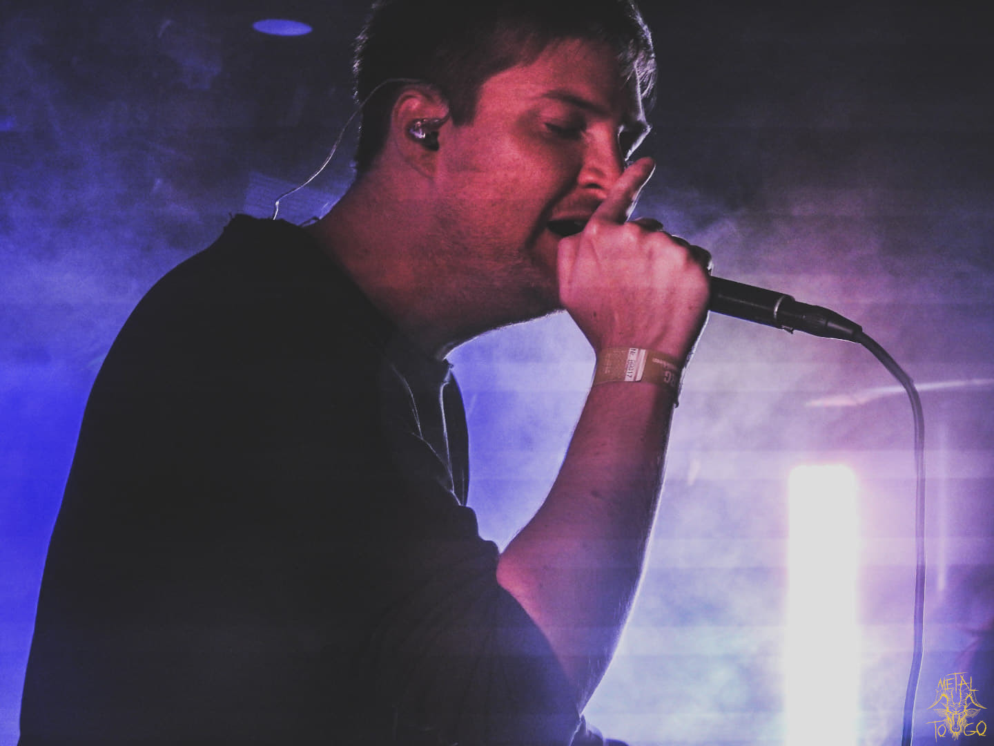 Feather Mountain: Nidus (Album review)