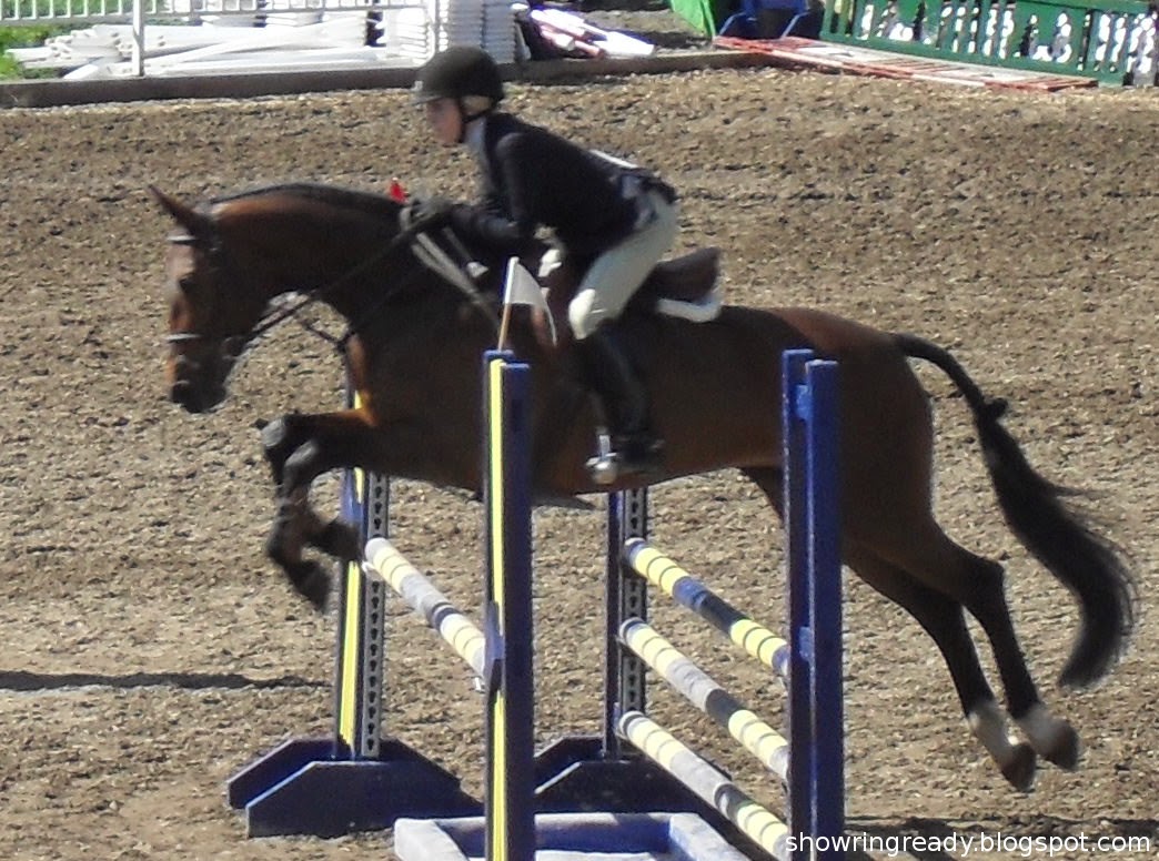 Show Ring Ready: What is a Medal Class?