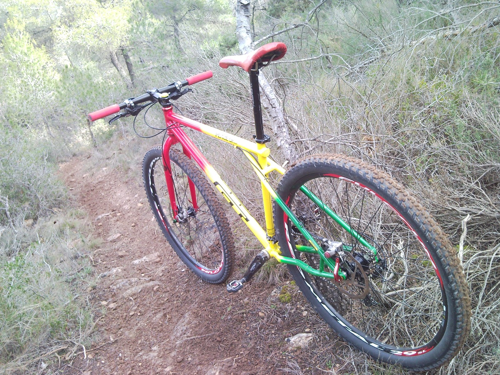 GT Peace 29er Rasta Cuadro-horquilla y algo más por 300 | ForoMTB.com