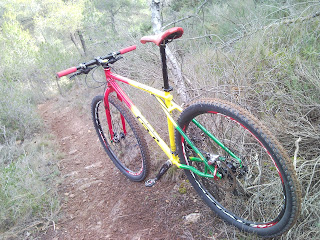 GT Peace 29er Rasta Cuadro-horquilla y algo más por 300 | ForoMTB.com