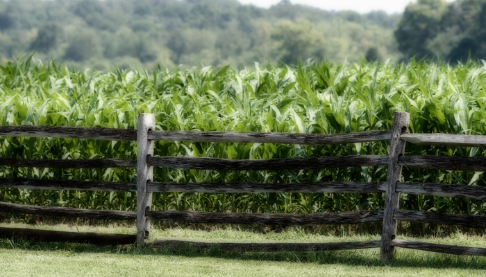 The American Civil War 150 Years Ago Today: September 17, 1862