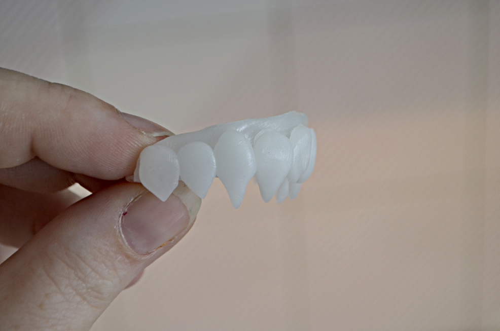 A world of creativity: Polymorph Teeth Walkthrough