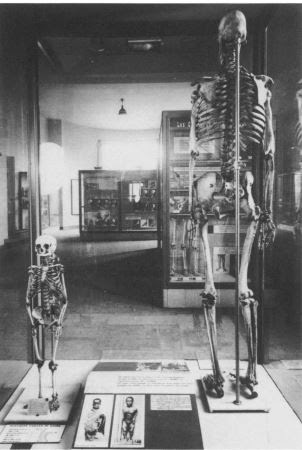 Rodama: a blog of 18th-century & Revolutionary France: Nicolas Ferry ...