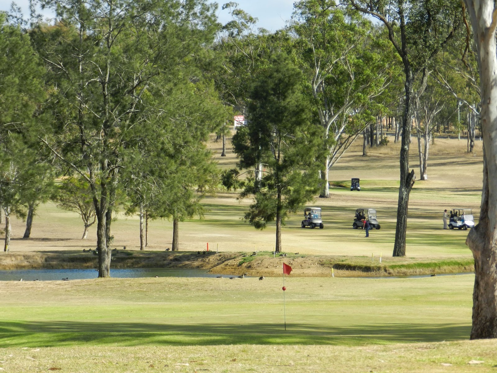The Paddock: Peanut stop in Nanango