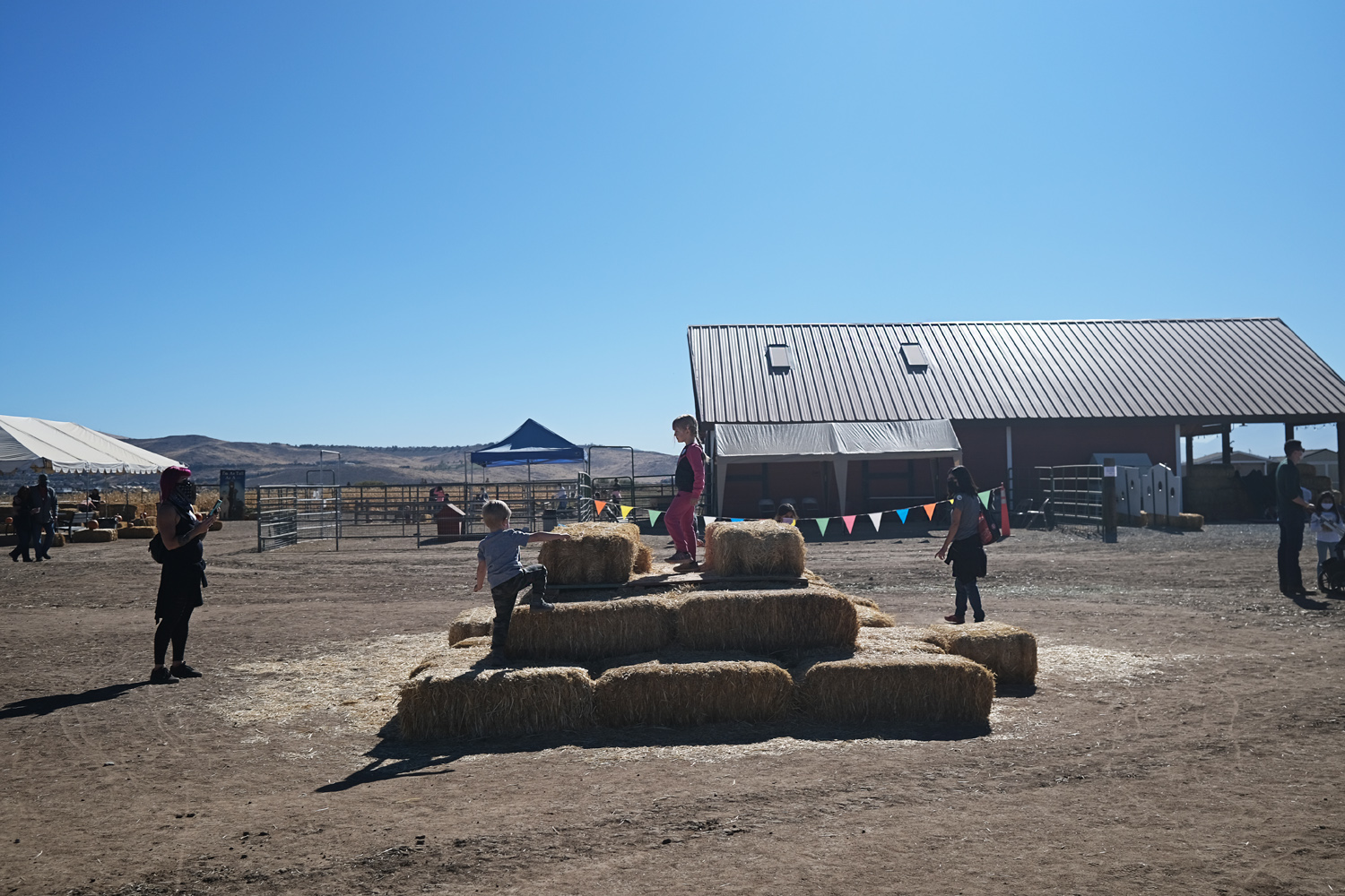 Loving Reno: Andelin Farm- A Charming, U-Pick, Family Owned Farm that ...