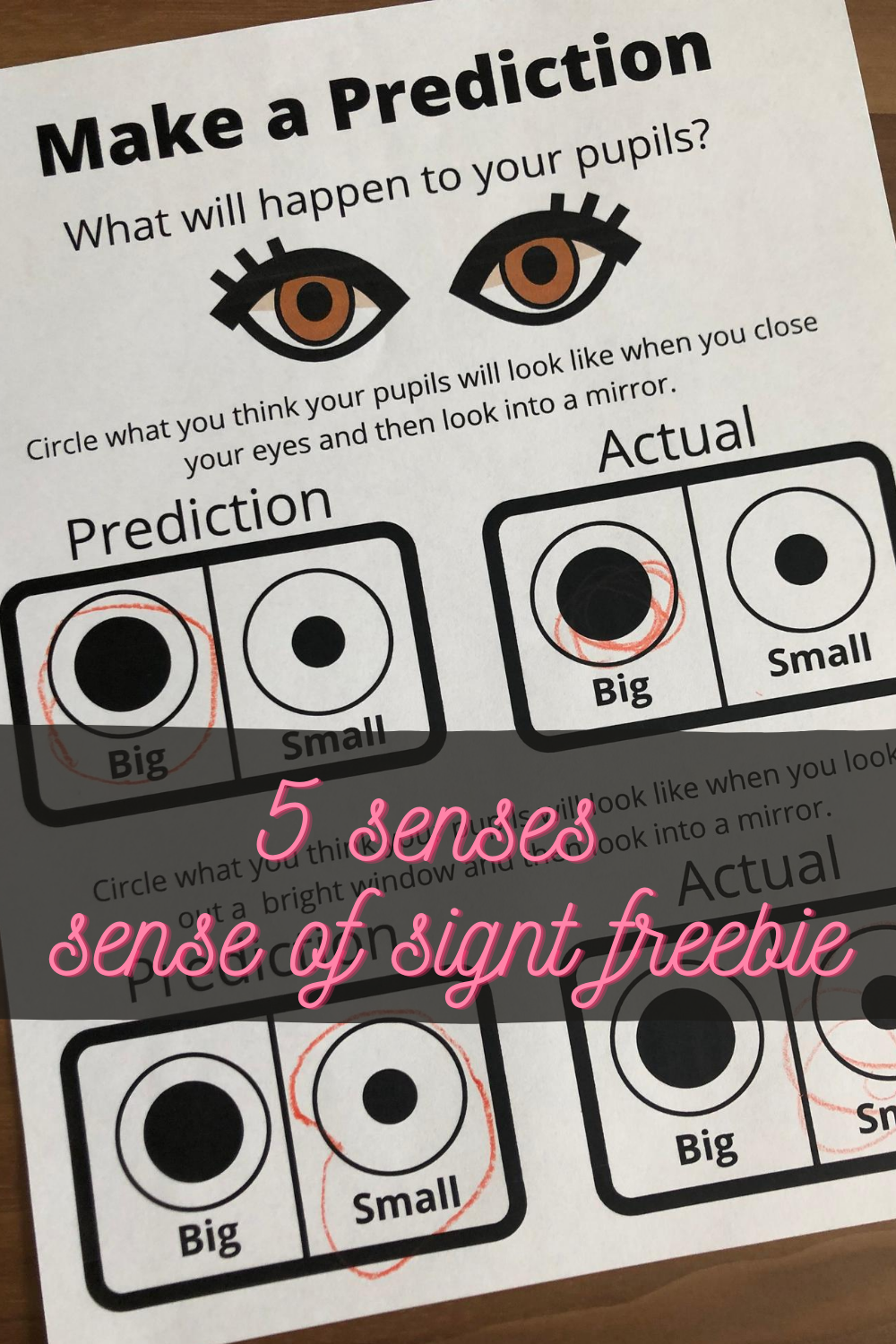 Easy Breezy Homeschooler: Sense of Sight Activities for 5 Senses Unit ...
