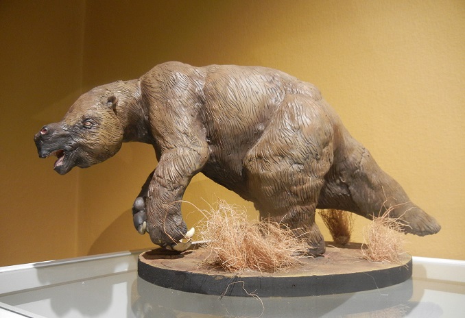 Noticias de Paleontologia: El Megaterio del PaleoArtista Miguel Ángel ...