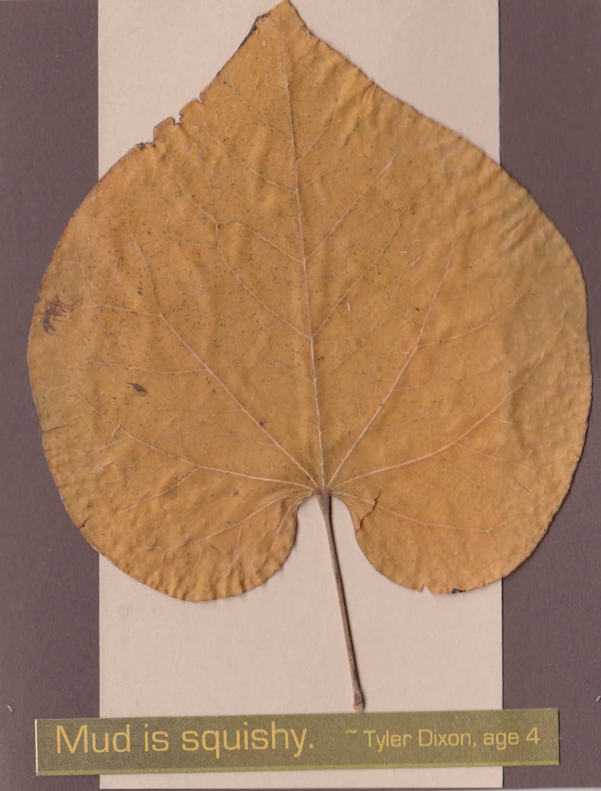 Holley's Blog: Leaf cards