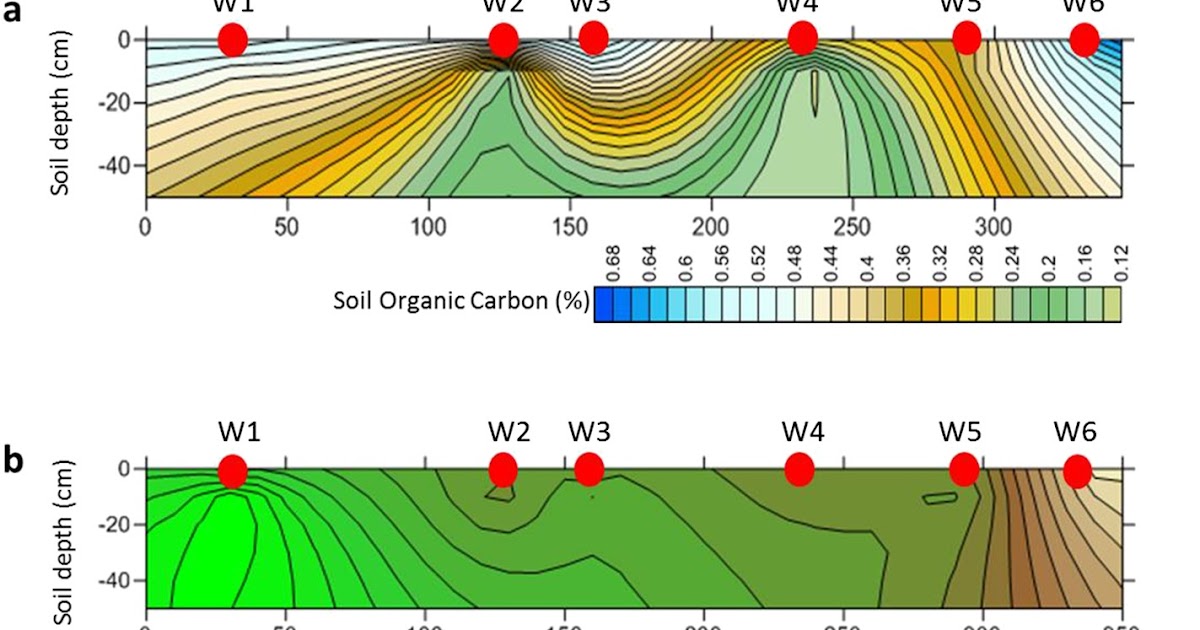 The Microbial Blogosphere: The impact of soil erosion on soil fertility ...