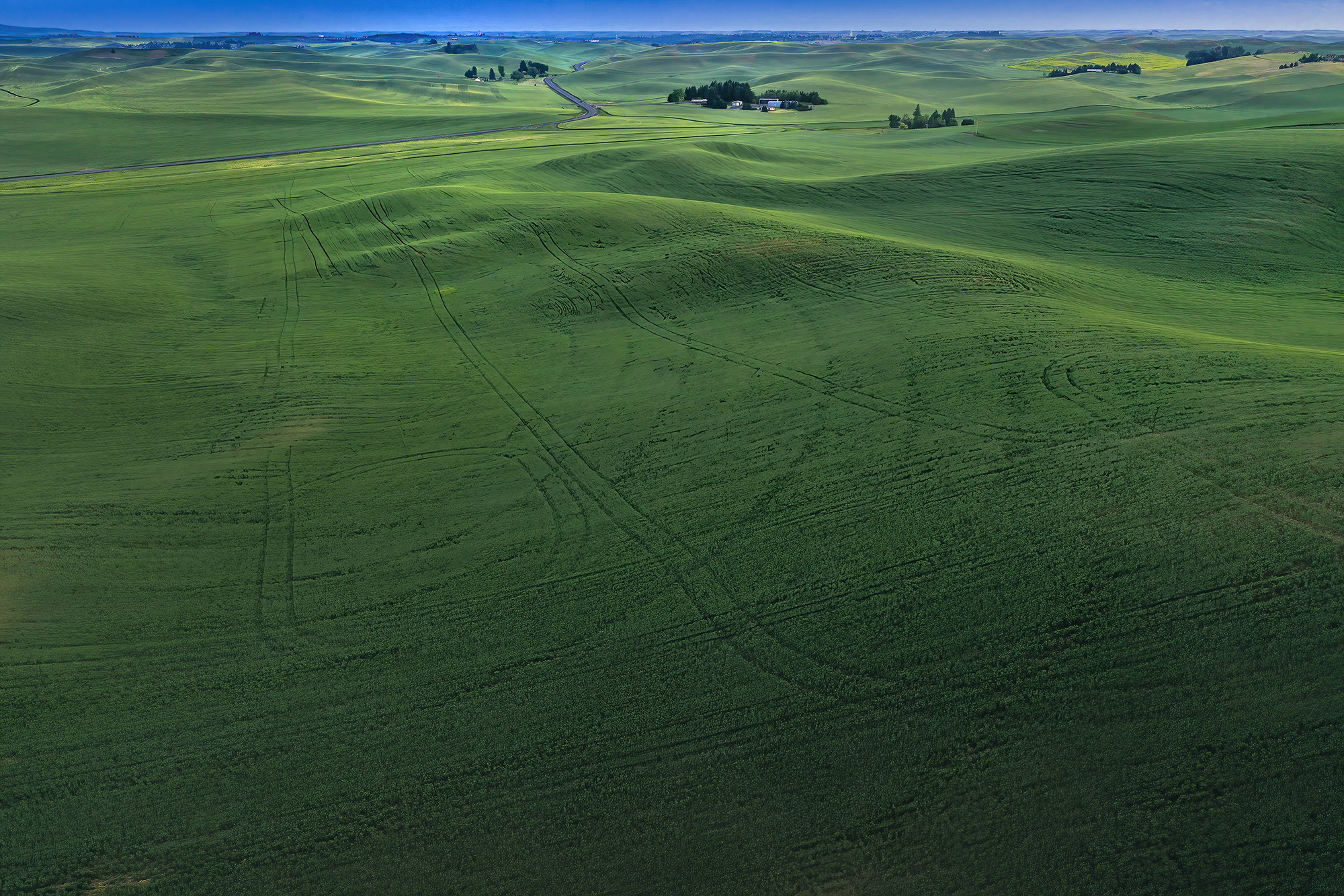 PULLMAN :: Cup of the Palouse: Ron Cooper captures the Palouse with ...