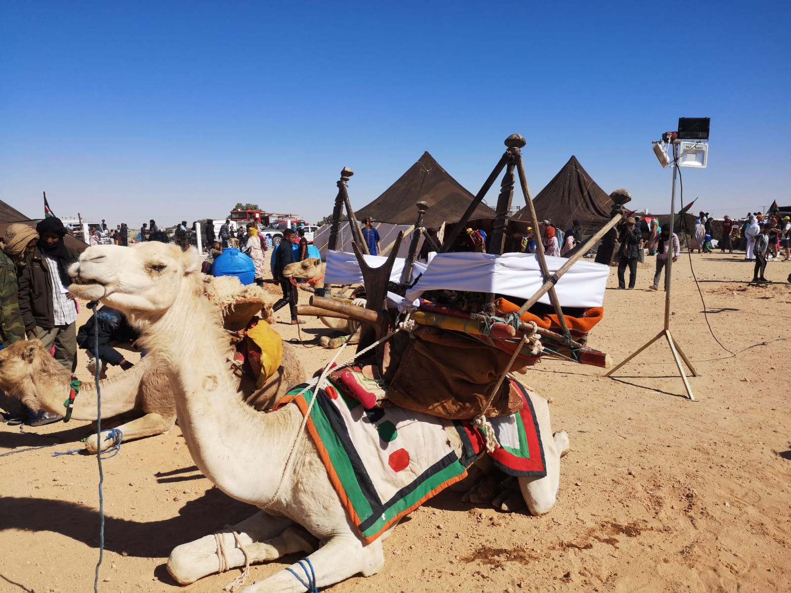 El pueblo saharaui celebra el 44 aniversario de la proclamación de la ...