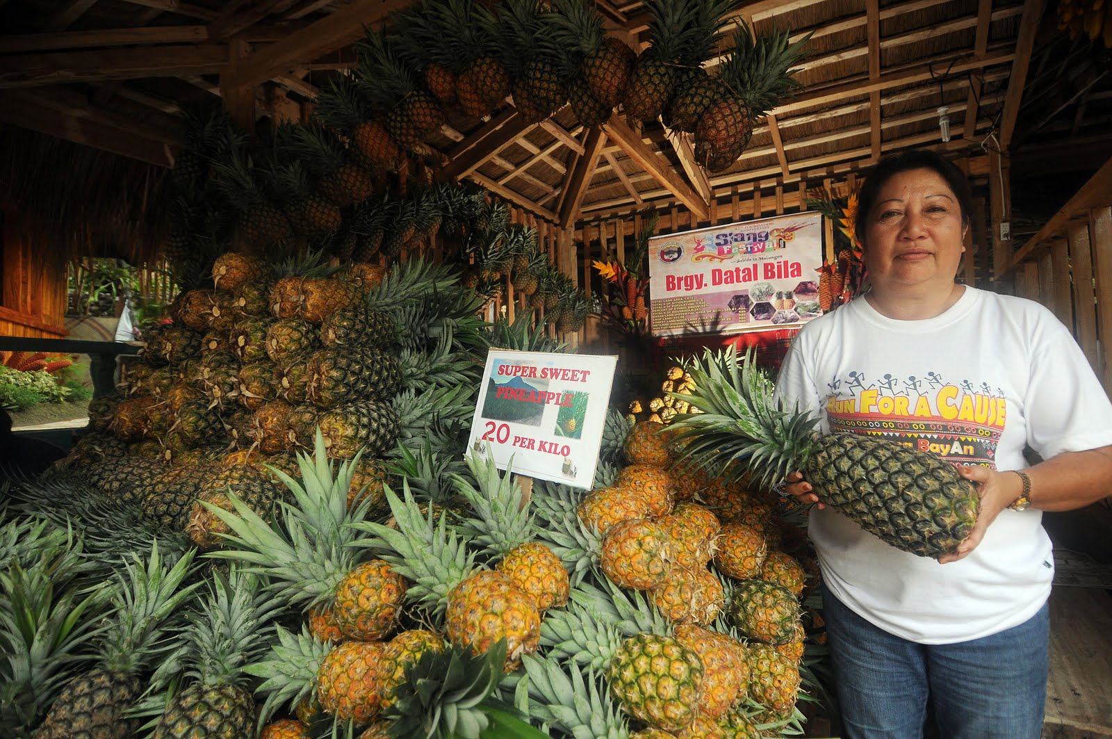 Sarangani Today: Malungon pineapples