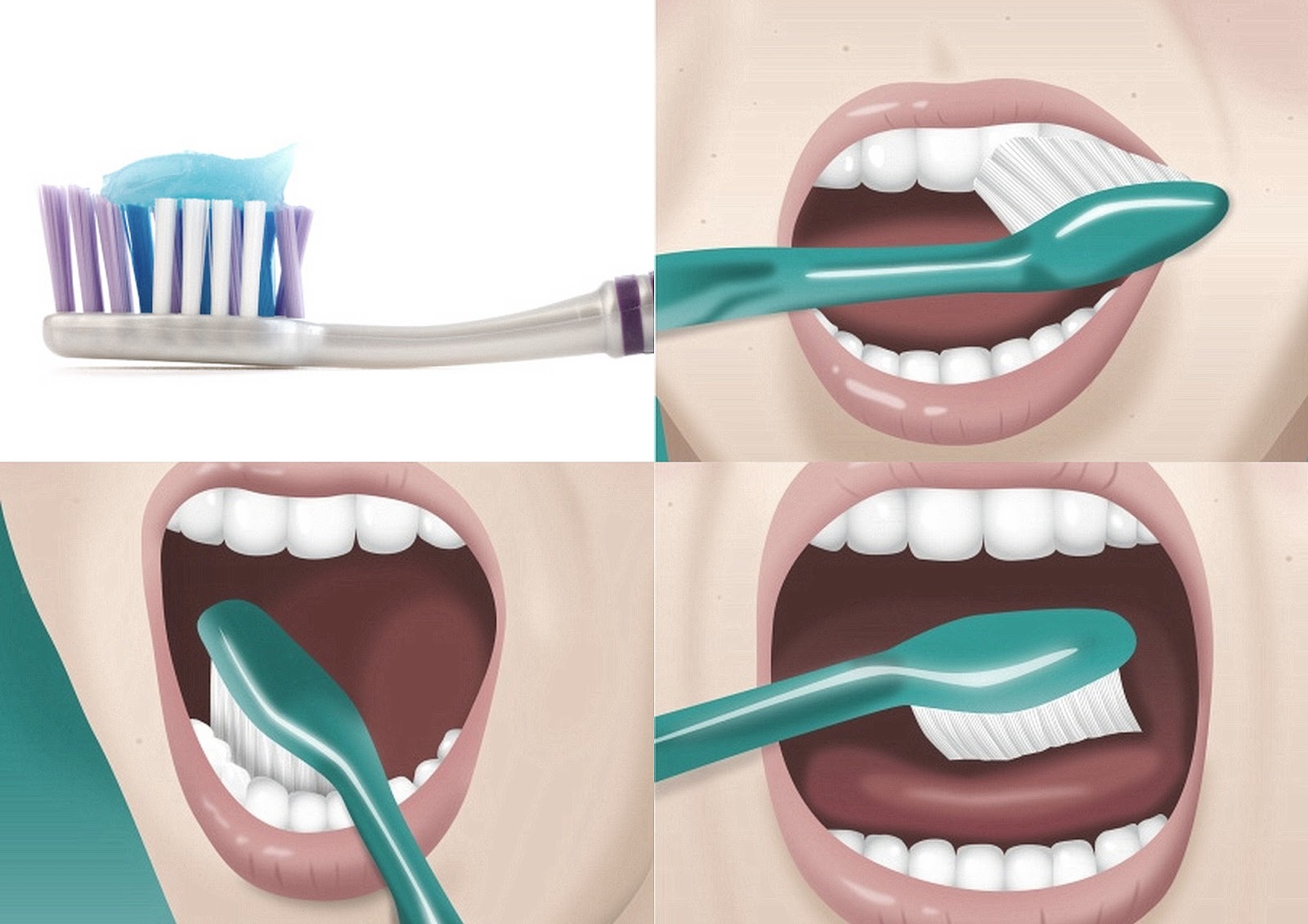 Esencialdent Odontología Movil Pasos Para Cepillarse Los Dientes