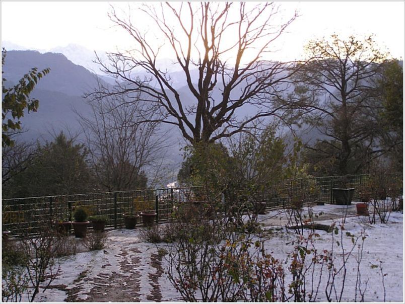 Kunsi Ashram Photo Album | Purusha at Maharishi Ashram - Kunsi ...