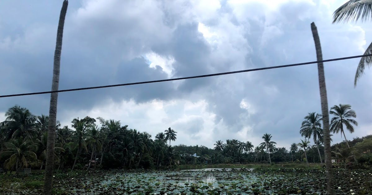 Vietnam’s rich nature