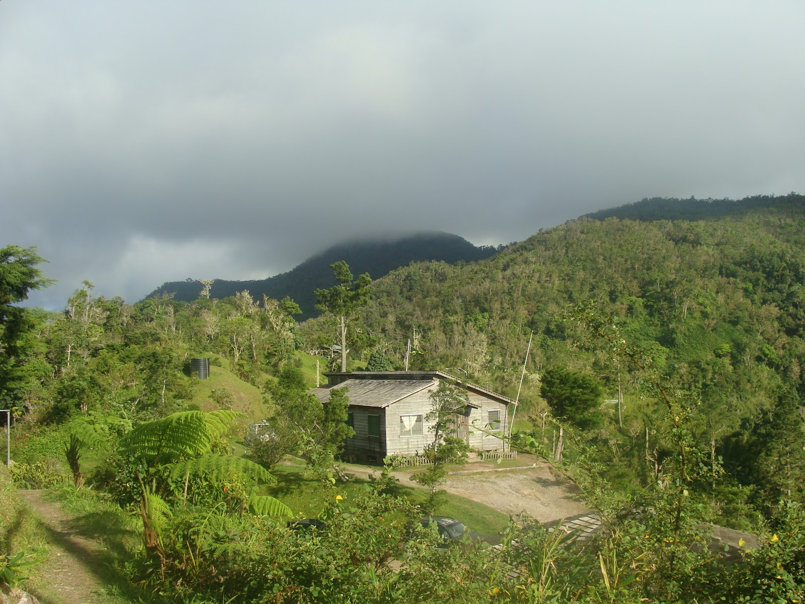 Jamaica Bound: Brooks Family Adventures Before, During and After the ...