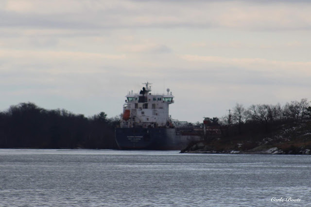 Carlz Boats: Last River Run - Part 1: Self Unloader ALGOMA MARINER