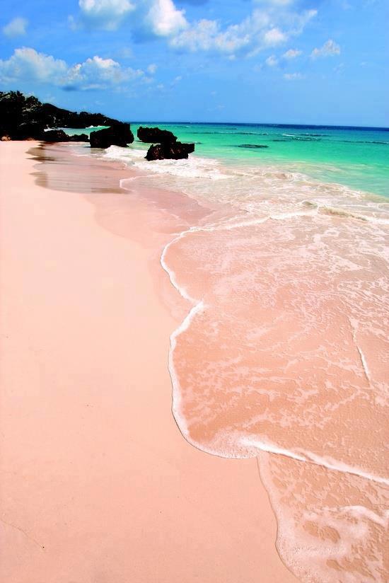 Pink Sand Beach, Bermuda | Corner Of The World