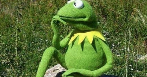 Tri Cities On A Dime: THOUGHT FOR THE DAY - KERMIT'S BIG QUESTION