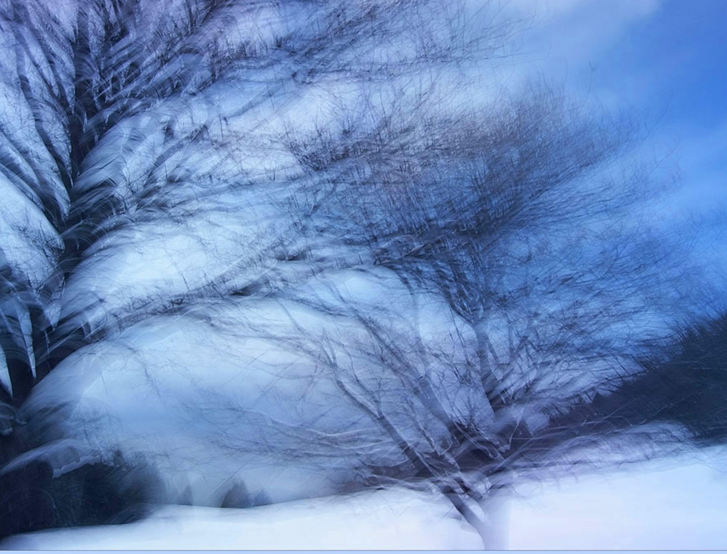 REFLECTIONS FROM NEW ZEALAND: MODERN SOCIETY – Christmas and Melancholy