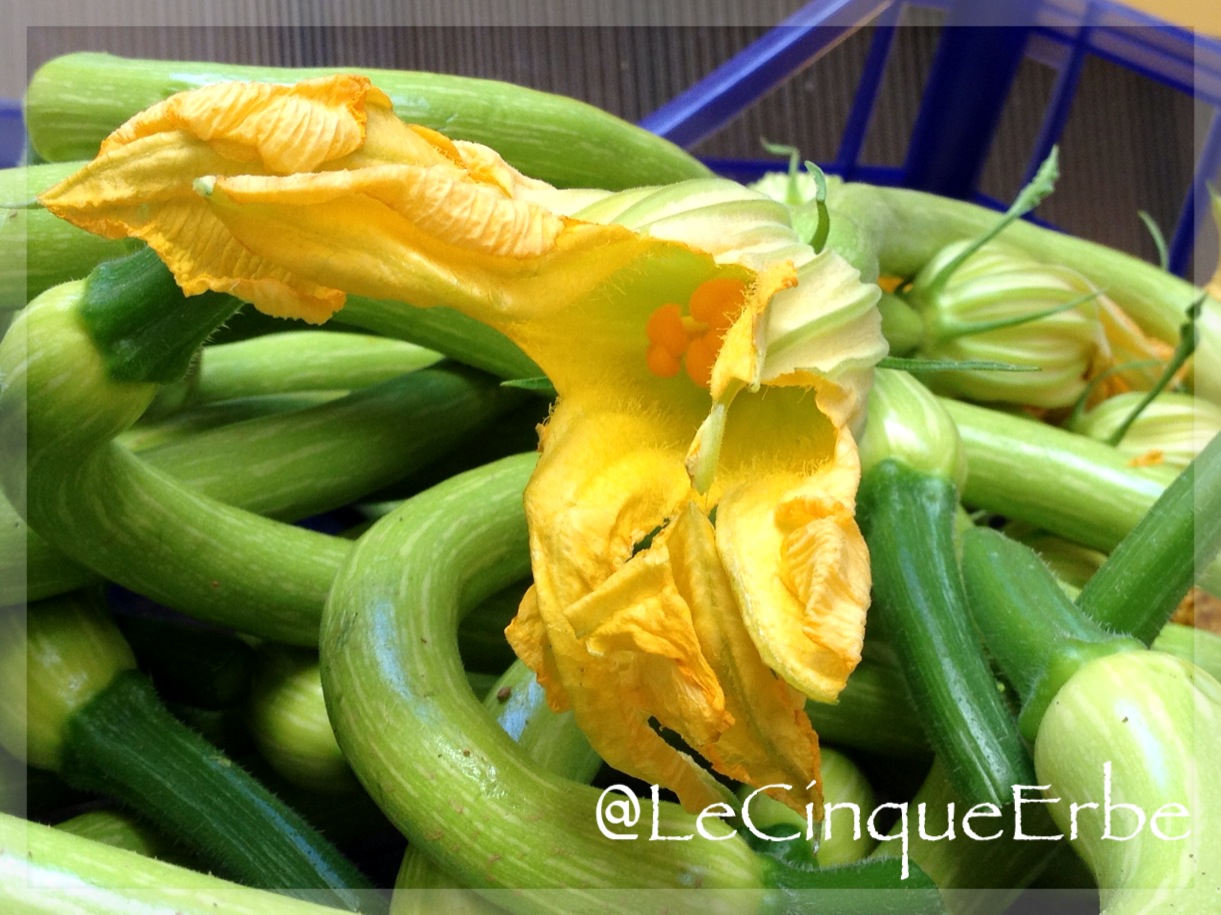 LE CINQUE ERBE: Flan di Trombette ai Bagni Virginia