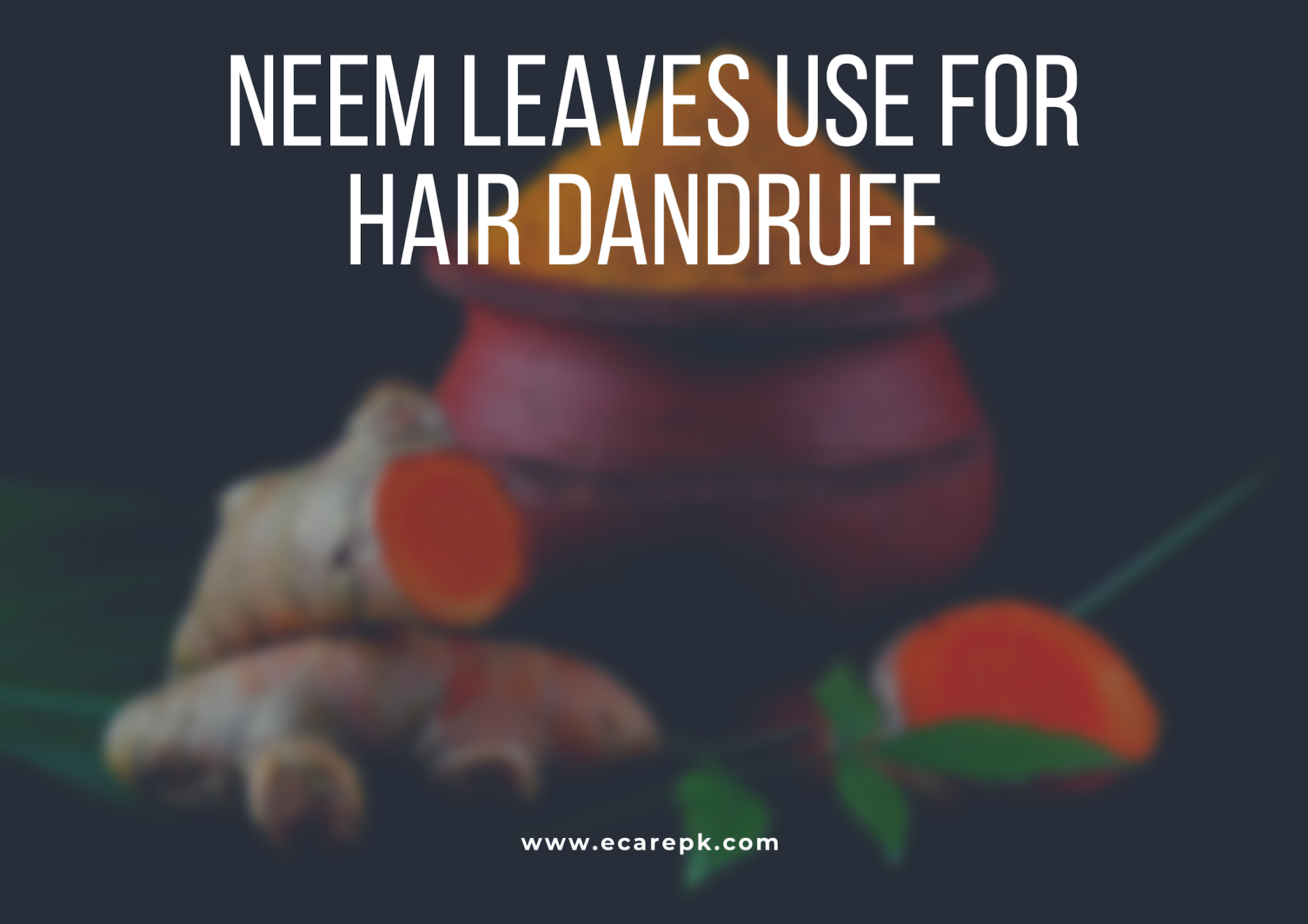 The Use Of Neem Leaves For Hair Dandruff How To Use Neem For Hair
