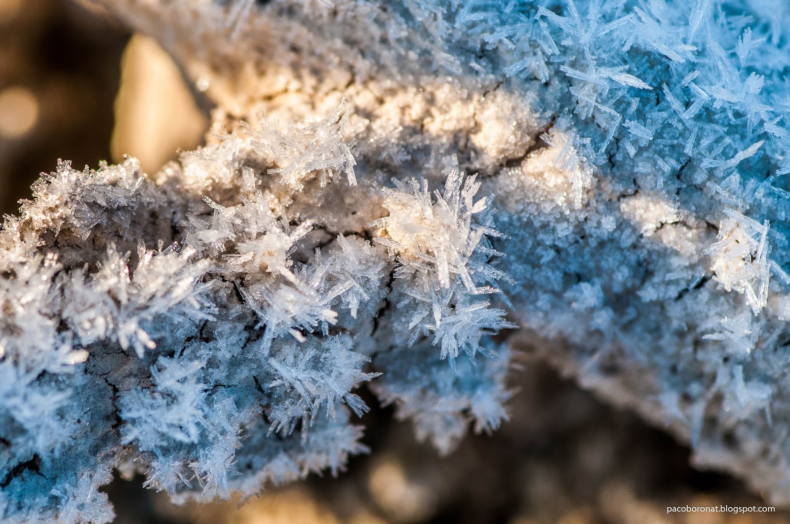 pacoboronat: MACROS. LA ESCARCHA