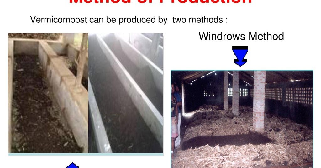 Grade 8 pit and windrows method - srs