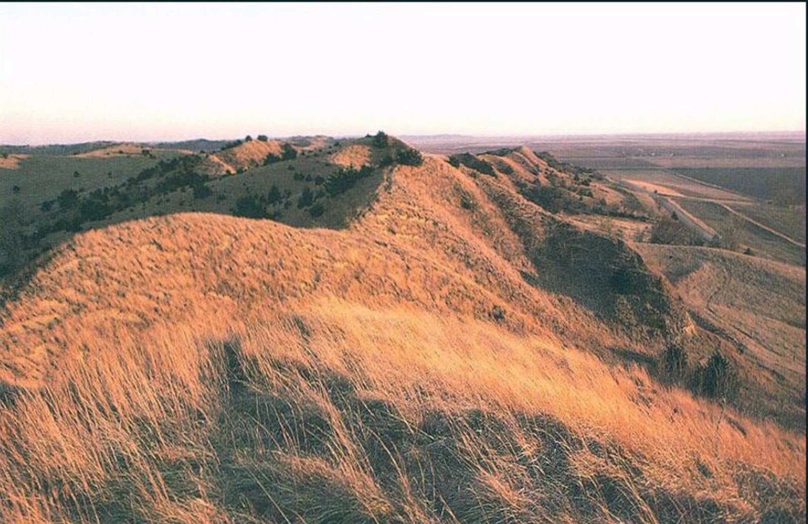 Elucified-Learn and grow: Class 7 Geography