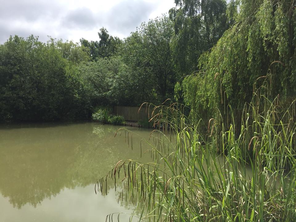 UK fishing venues: Raker Lakes (Heron Lake) - Venue Review