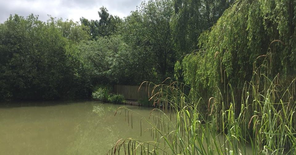 UK fishing venues: Raker Lakes (Heron Lake) - Venue Review