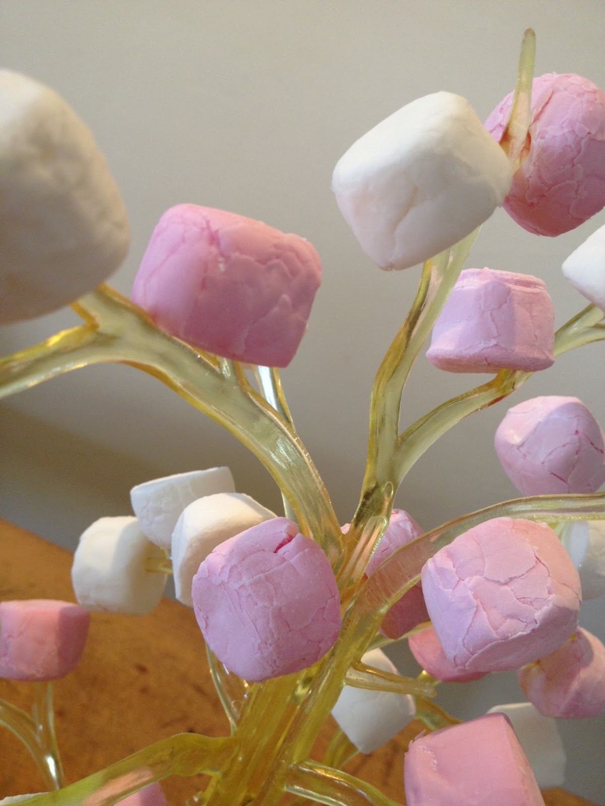 Marshmallow Tree Definition at Charles Braim blog