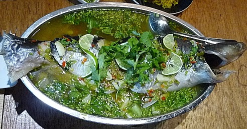 (Eat to Live) or (Live to Eat): Patin Fish