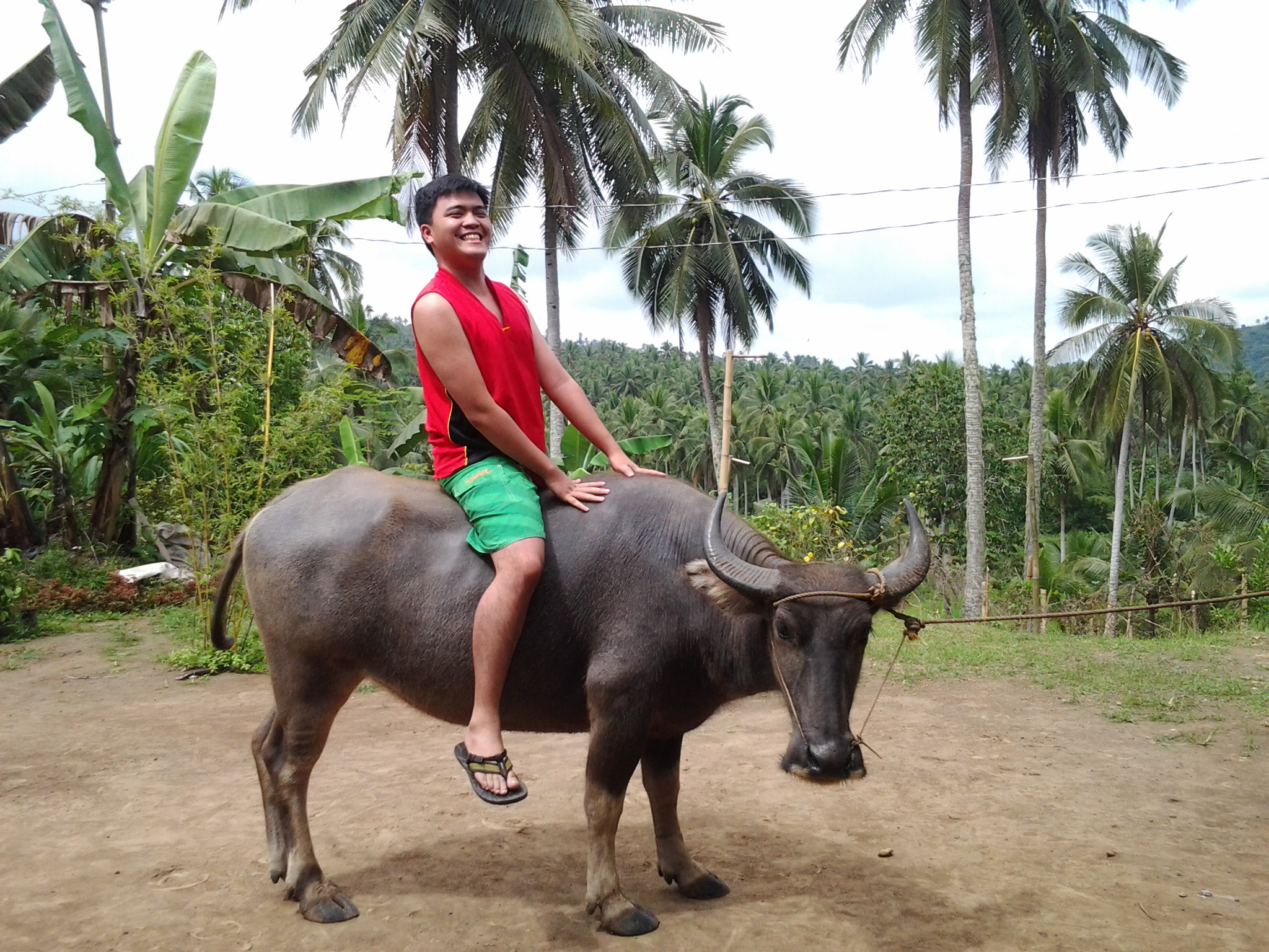 ...Strawberry-filled Donuts...