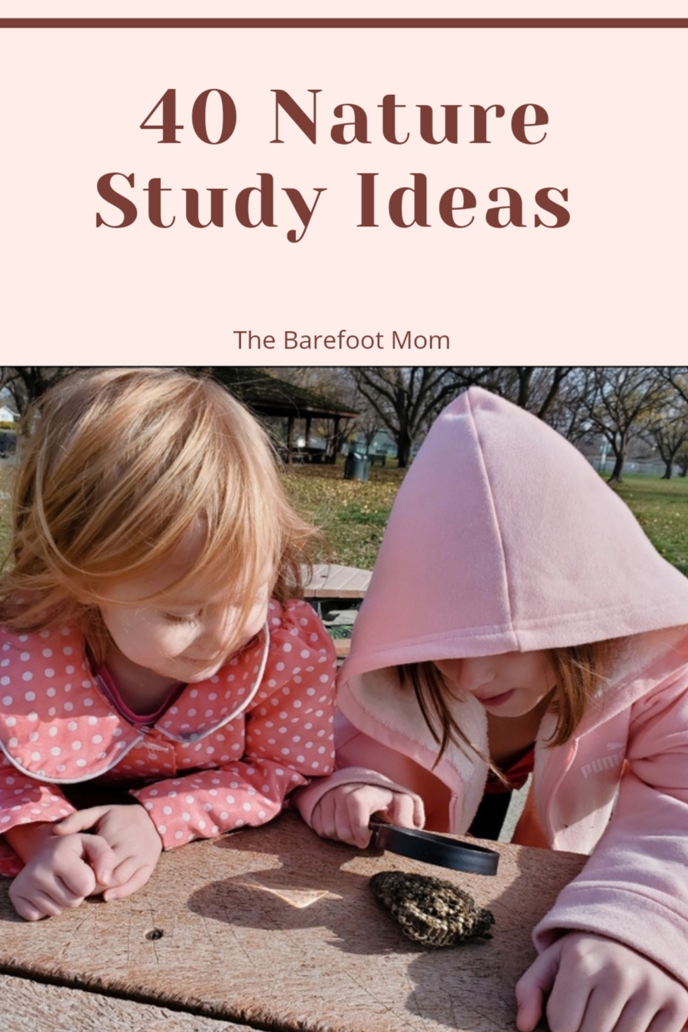 42 Nature Study Ideas