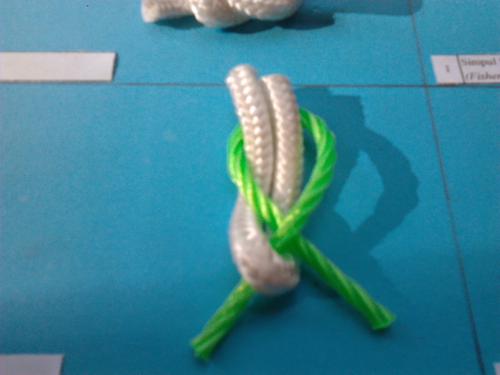 maswafi.blogspot.com: Lencana Keahlian Biasa (Ikatan dan Simpulan)