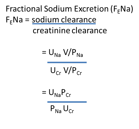 Tutor's Notes - CV/Pulm/Renal 2011 UNM SOM: April 18 Lecture Dr. Rondon