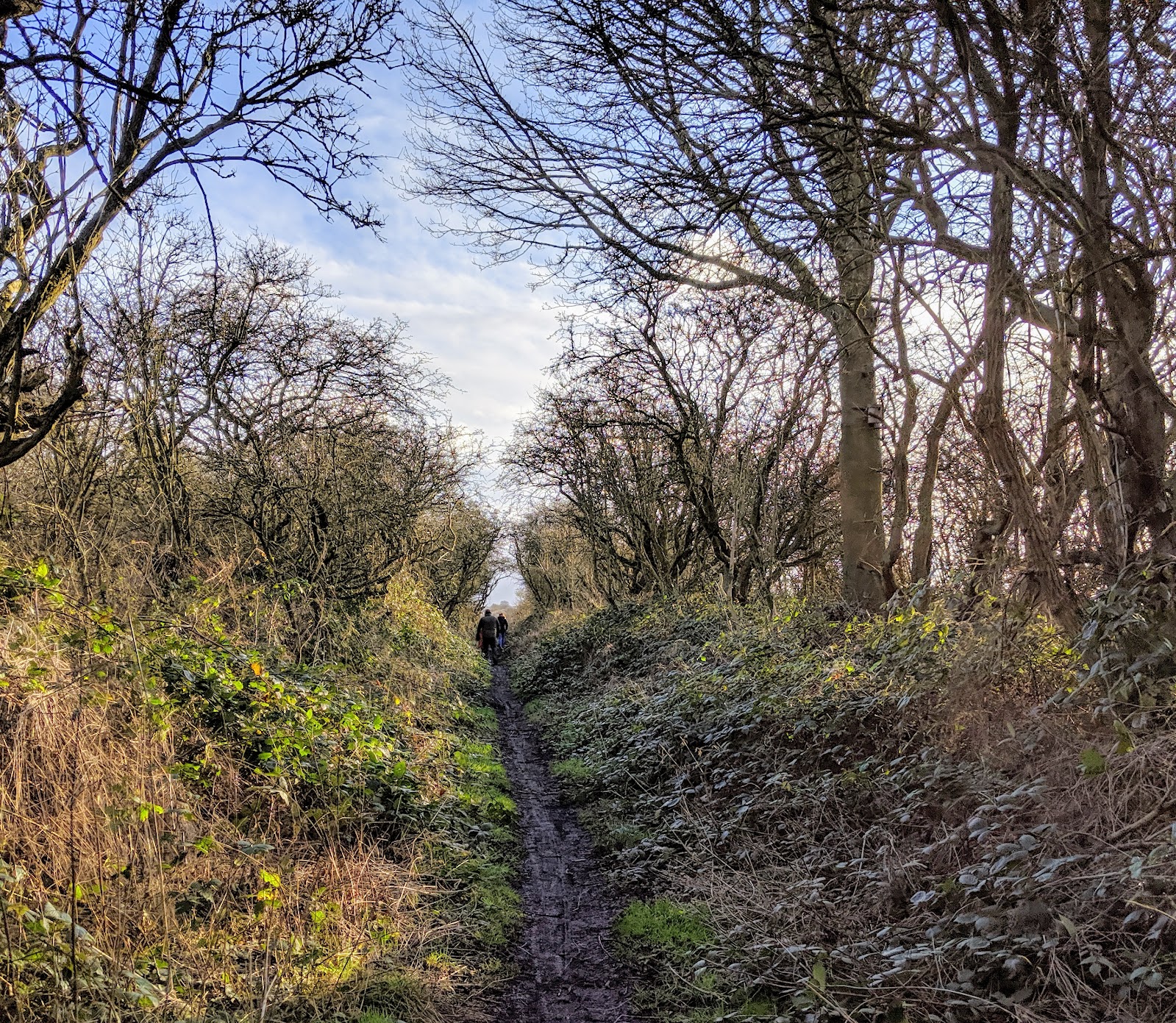 How to find the Giant Spoon in Cramlington, Northumberland | North East ...
