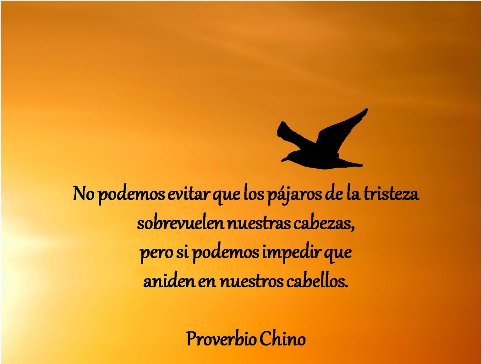 PROVERBIOS DE TRISTEZA Y AMOR | IMÁGENES CON PROVERBIOS TRISTES ...