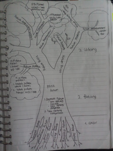 POHON HUKUM DAN PENGANTAR HUKUM INDONESIA