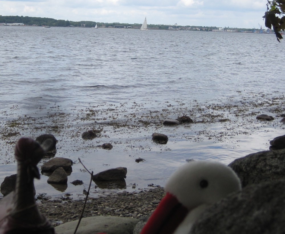 ge rettet Das Hindenburgufer? Strandweg Kiel
