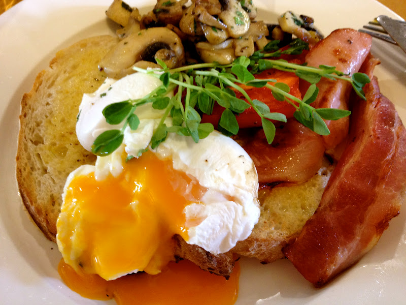 One Hungry Hen: The Lott, Cooma