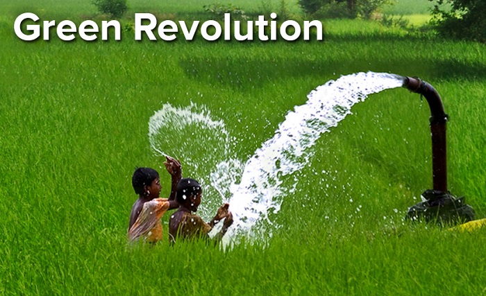 Chapter-4 Change and Development in Rural Society class 12 Notes Sociology