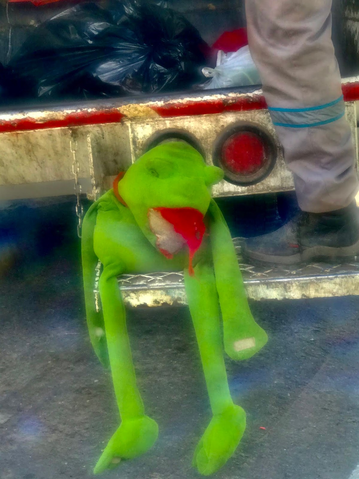 FOTOS DE TRIUNFO ARCINIEGAS: Pamplona 2020 / La rana René en desgracia