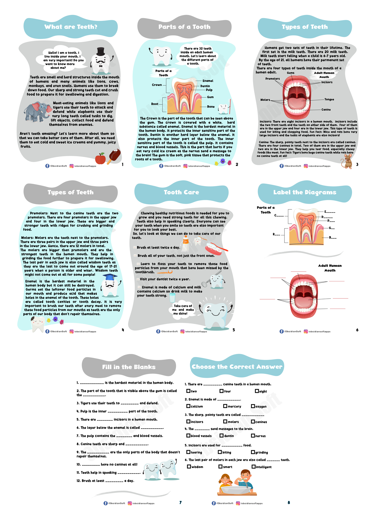 All About Teeth
