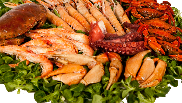 pescado congelado, marisco congelado: El ganador de la mariscada de ...