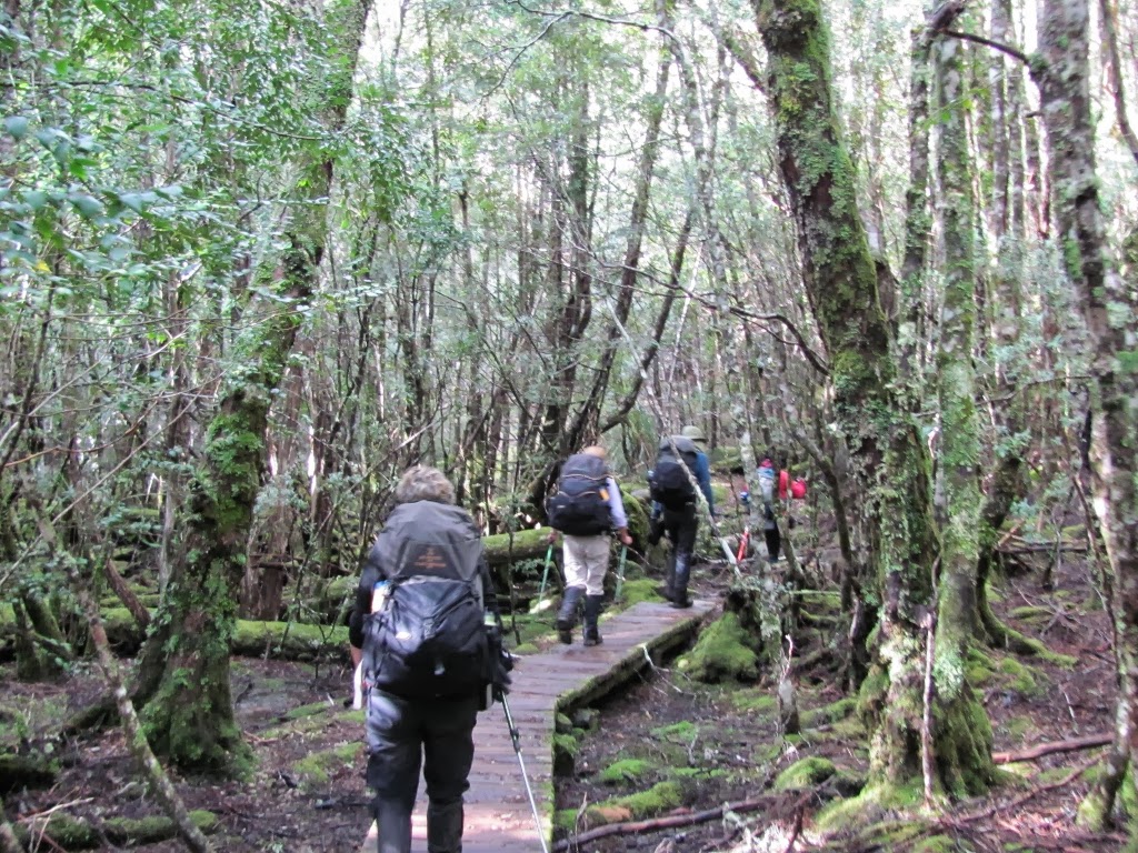 M&M Smith: TASMANIA : DAY 5 : OVERLAND TRACK : Kia Ora Hut to Windy ...