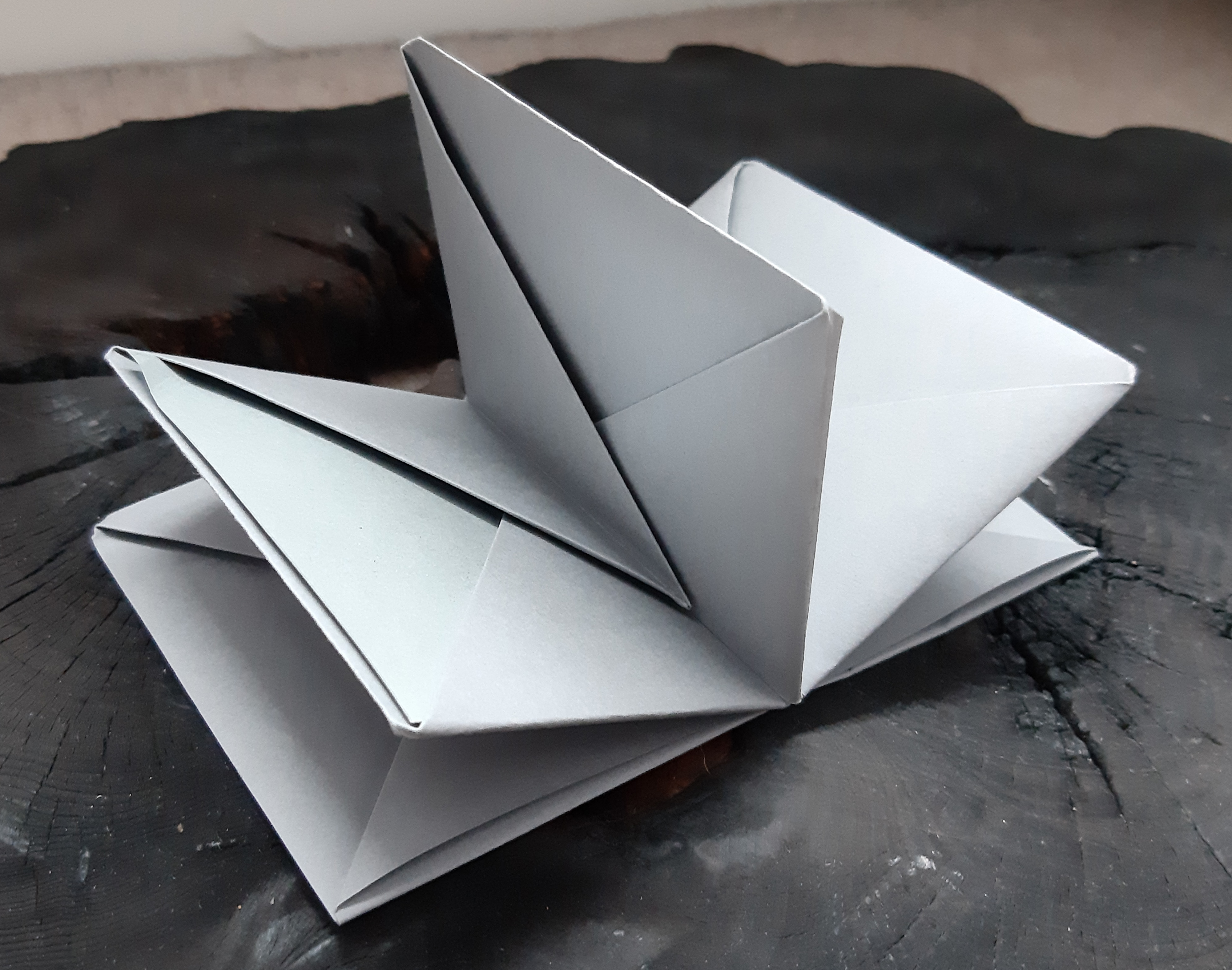 Invisible Sun: Non adhesive book binding - Hedi Kyle Blizzard Book