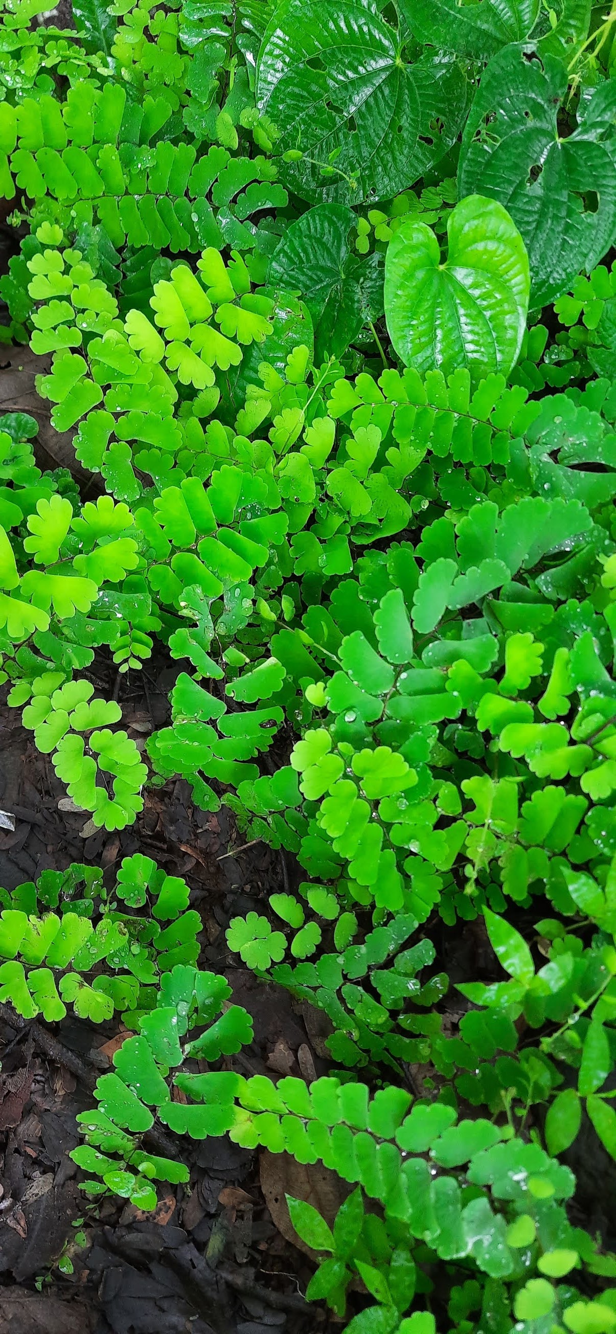 Sharad Pandhare's Educational Blog: Incredible Nature