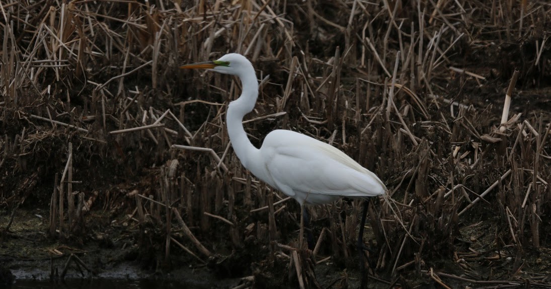 Michigan Exposures: A Stop at Fish Point